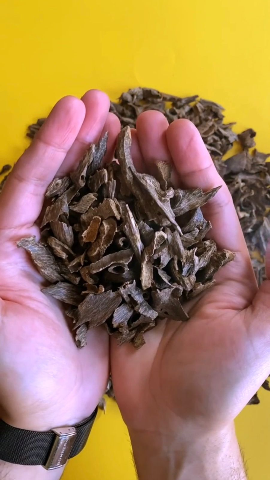 Indian Mouri Agarwood – Oud factory